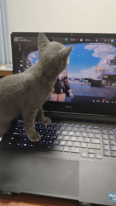 我家猫网恋了好像 尘白禁区综合讨论 Taptap 尘白禁区论坛