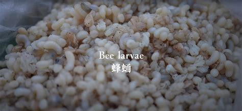 Bee Larvae Delicacy