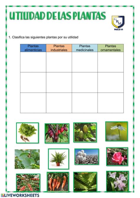 Plantas Según Su Utilidad Worksheet