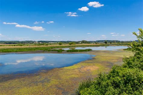 Wetland Fens