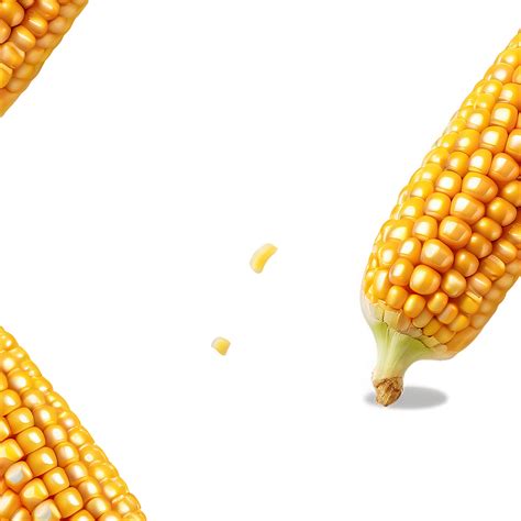 Corn Png Images 200