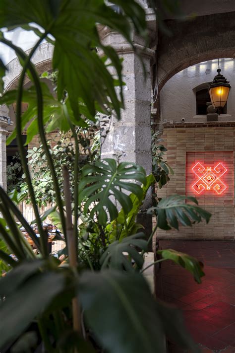 Oxa Restaurante En San Ángel Cdmx