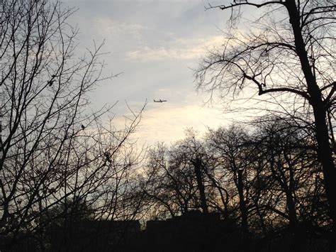 Cockapoo And Plane Spotting Miss Darcys Adventures