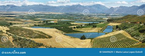 Landscape Of Lagoons And Vineyards From Gydo Pass Stock Image Image