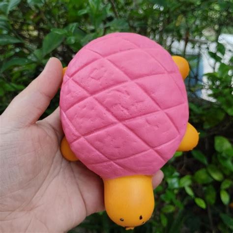 Turtle Melon Pan Squishy Hobbies And Toys Toys And Games On Carousell