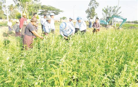 ဒုတိယဝန်ကြီး ဦးဗိုလ်ဗိုလ်ကျော် မုန်တိုင်းမိုးများကြောင့် ဆည်ရေသောက