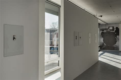 Algirdas Šeškus Tv Cac