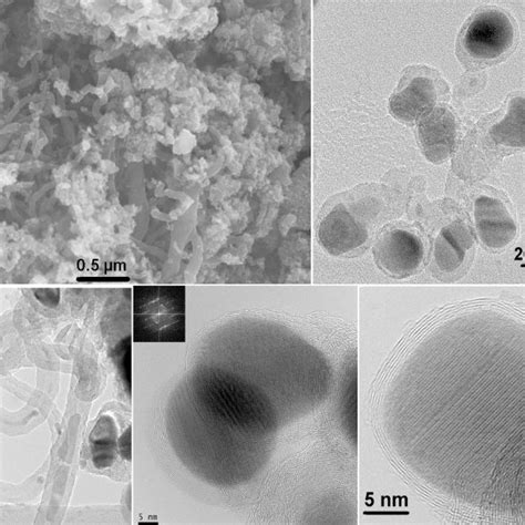 A Scanning Electron Microscope Image Of Bismuth Nanoparticles Download Scientific Diagram
