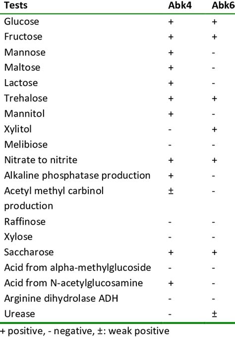 The Api Staph Test Results Of Abk4 And Abk6 Isolates Download