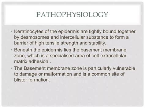 Bullous Pemphigoid Dermatitis Herpitiformis And Cbdc Pptx