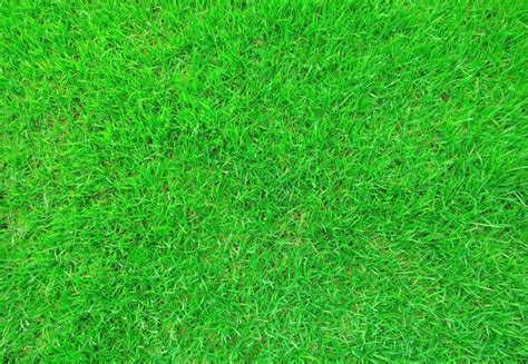 Premium Photo Full Frame Shot Of Grassy Field