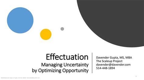 Effectuation Theory Of Entrepreneurship Pdf