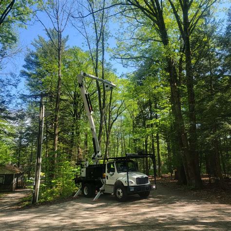 Hazard Tree Evaluation Ensure Property Safety In 2024