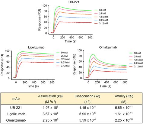 The Ige Binding Affinity Of Ub 221 And Ligelizumab On Spr Kinetic