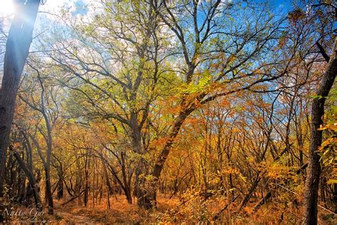 How To Deal With Complexity