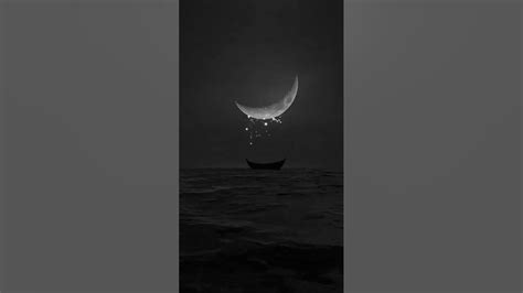 Favorite Nashed Youtube