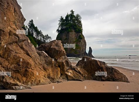Headland At Southern End Of The Beach At Mosquito Creek In The Wilderness Section Of The Pacific
