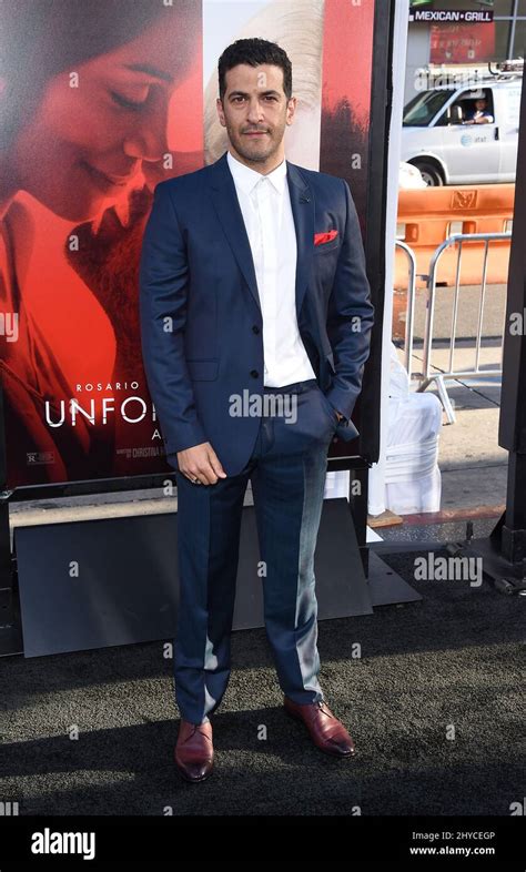 Simon Kassianides Attending The Los Angeles Premiere Of Unforgettable