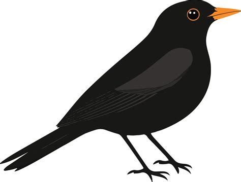 Adorable Cute Simple Blackbird Clipart 52238396 Vector Art At Vecteezy