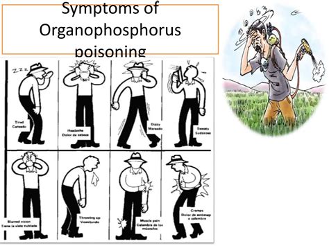 Organophosphorus Poisoning For Pharmacology Pptx