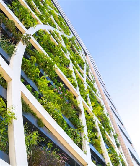 Esg Sustainability Greenwashing Strategie Luisa Esterházy