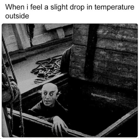 Vampire Memes 30 Fangy Memes For Spooky Halloween Vibes