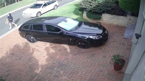 Two Teens Charged After Cat Tortured Killed In Sydney Sky News Australia