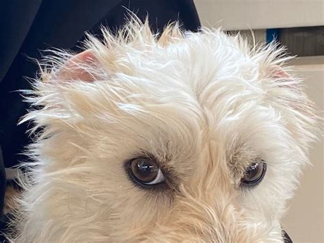 13 Een Lief Loeder Een Heerlijke Doerak Een Ontroerend Secreet