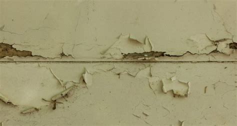 Epas Lead Risk Reduction Program Environmental Protection Network