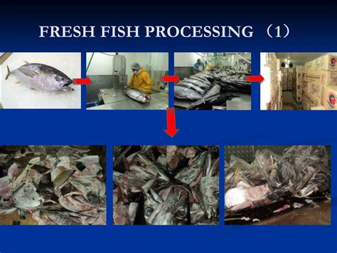 Ppt Fish Processing And Fish Waste Powerpoint Presentation Free