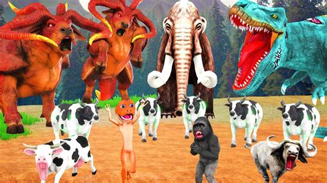 Giant Dinosaur Chase Gorilla Cartoon Cow Buffalo Saved By Woolly