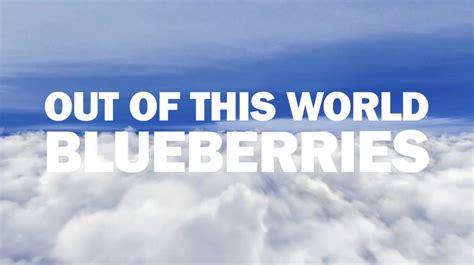 Justin Mudge On Linkedin Out Of This World Blueberries From Berryworld