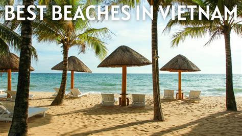 Top 5 Beaches In Vietnam 🏖️🇻🇳 Youtube