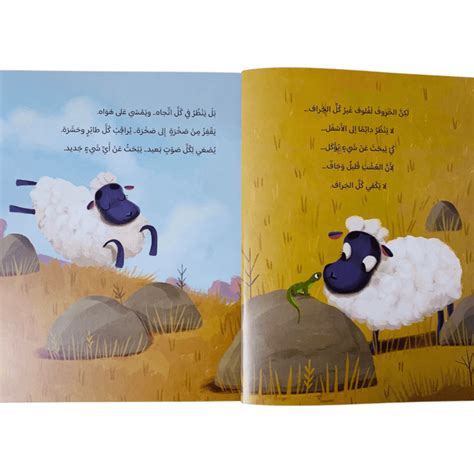 الخروف لفلوف كراوس لايف Crouse Life