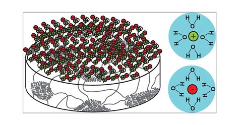 Synthesis And Characterization Of Zwitterionic Polymer Brush Functionalized Hydrogels With Ionic