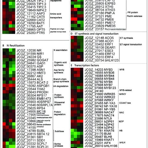 classification of degs on the basis of mapman clustering download