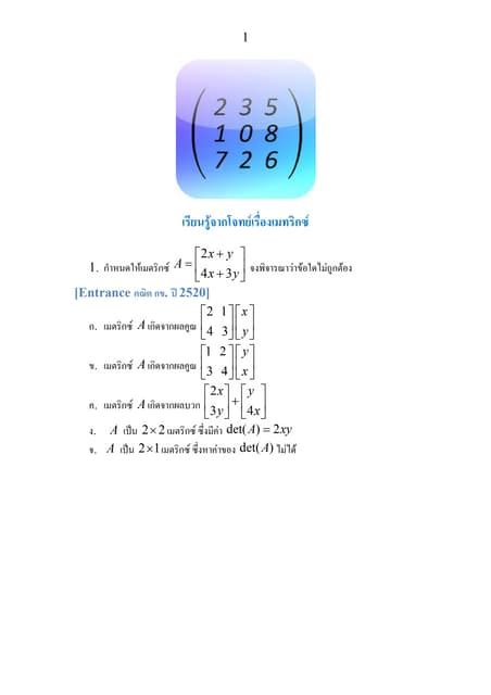Matrix Problem P Pdf