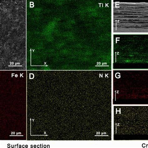 The Sem Edx Mapping Of The Surface A D And Cross Section E H Of The