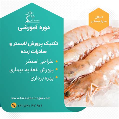 دوره آموزشی پرواربندی لابستر و صادرات زنده فراساحل نگار