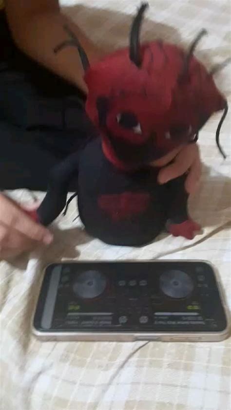 Phen 228 Dj Imágenes Graciosas Cosas Para Reir Canciones Divertidas