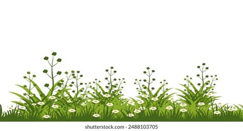 Illustration Green Grass Flowers Vector Collection Stock Vector