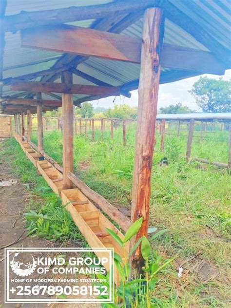 Kimd Intl Group Of Kimd Intl Group Of Companies