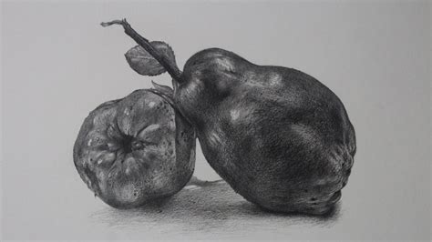 Graphite Pencil Drawing Fruit The Materials You Need For Draw Awesome