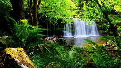 Nature 1920x1080 Wallpapers Top Free Nature 1920x1080 Backgrounds