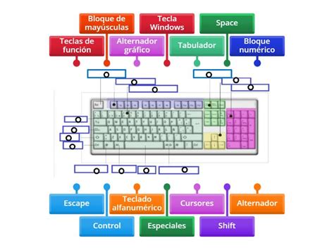 Partes Del Teclado Diagrama Con Etiquetas