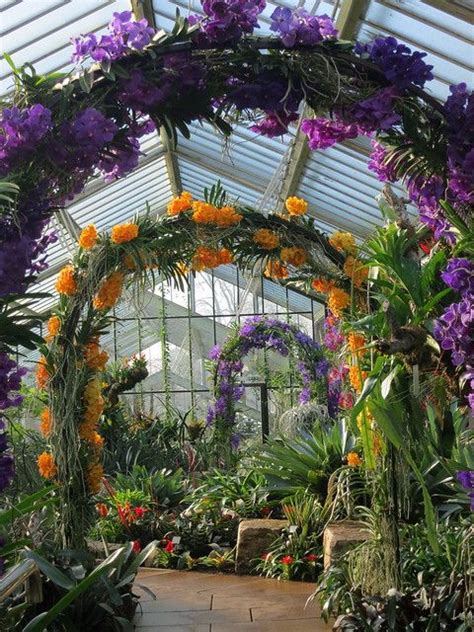 Princess Of Wales Conservatory Orchids 23