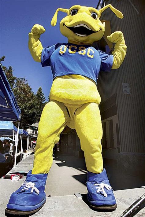 The Banana Slug Celebrates 25 Years As Uc Santa Cruz Mascot The