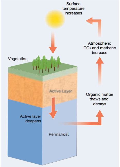 Qanda What Is Permafrost Carbon Brief