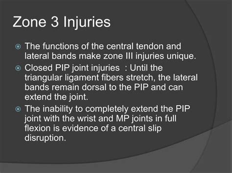 Extensor Apparatus Of Hand Injuries Pptx Death Injury Or Military