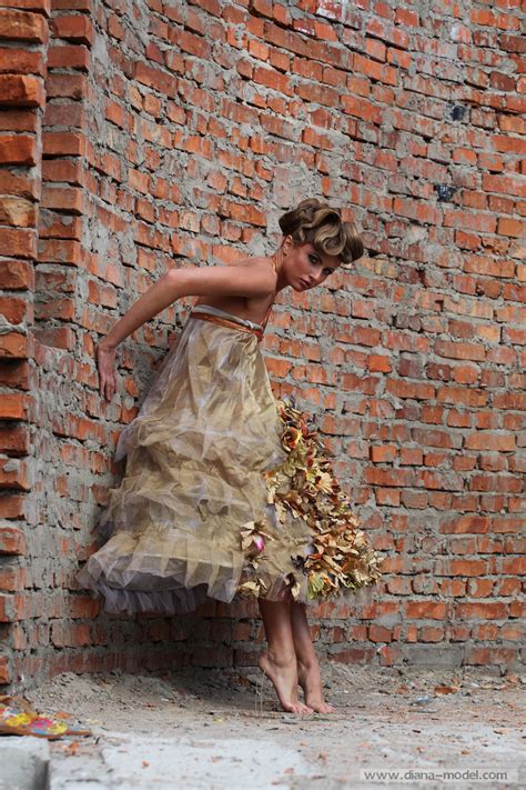 [amazing Models] Diana Model Set 024 V2ph